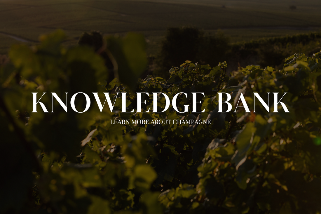 Champagne Knowledge Bank – Champagne Gallery